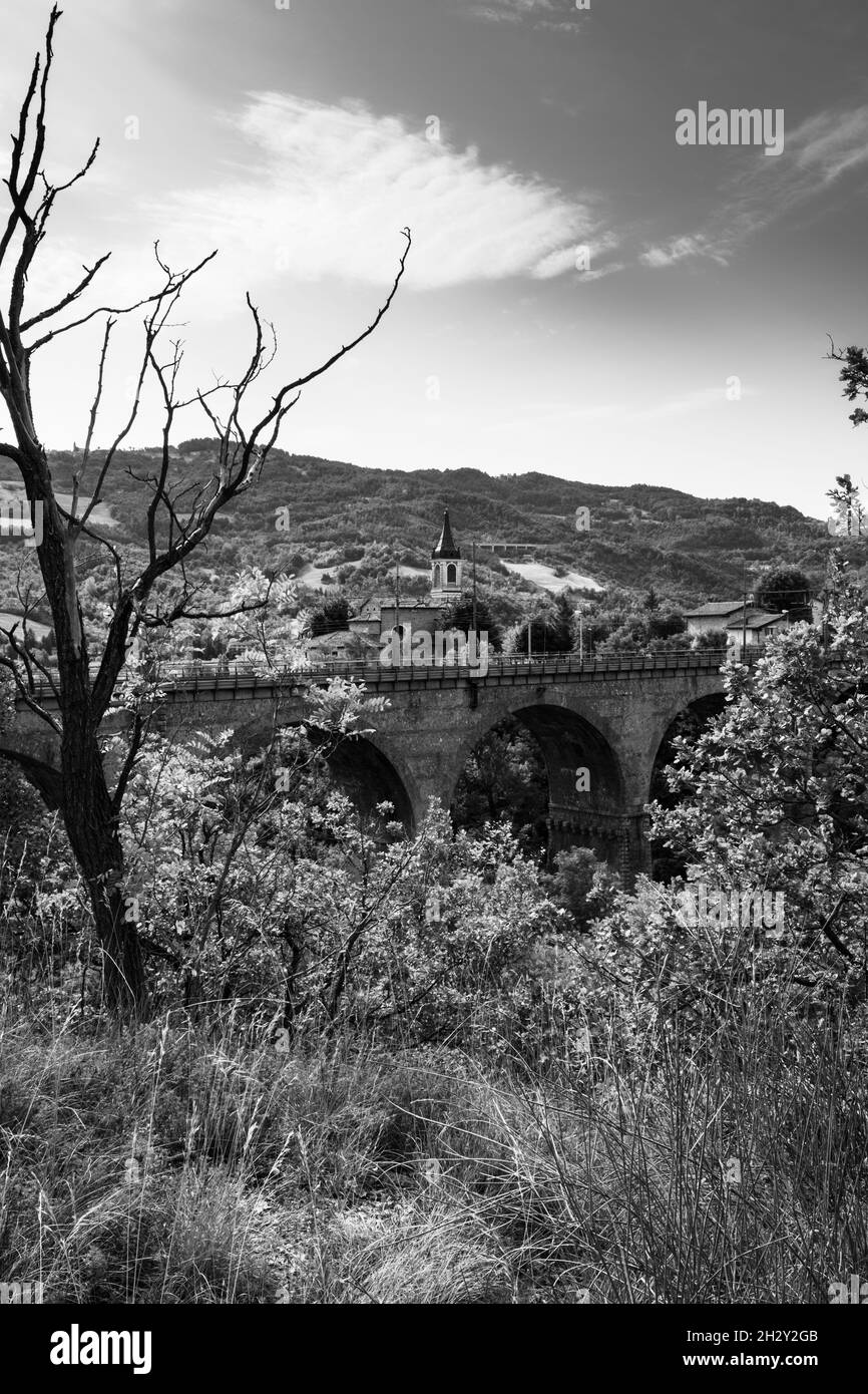 Landscape countryside dirt road Black and White Stock Photos & Images ...