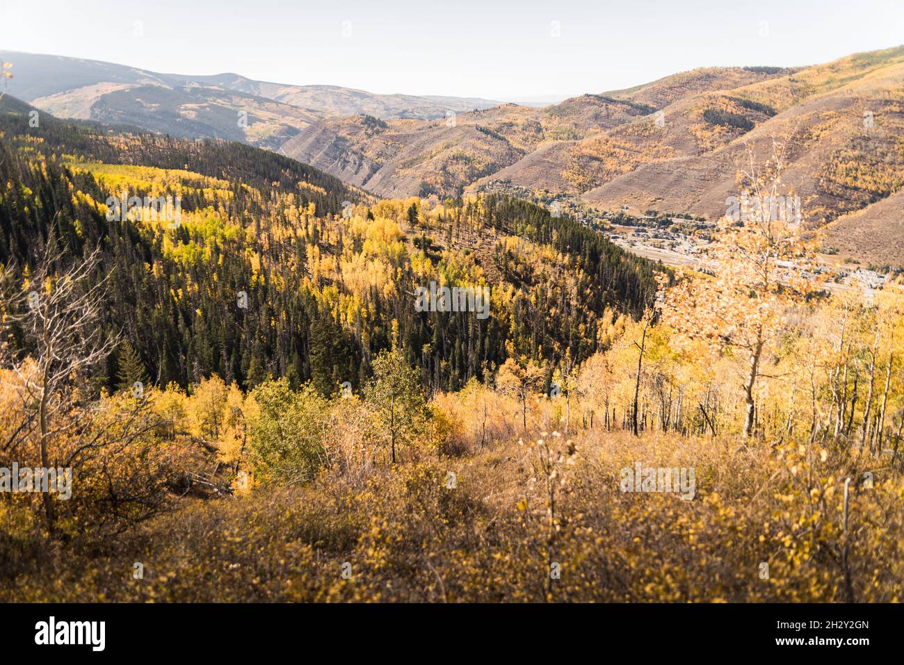 Fall foliage in Vail, Colorado Stock Photo - Alamy