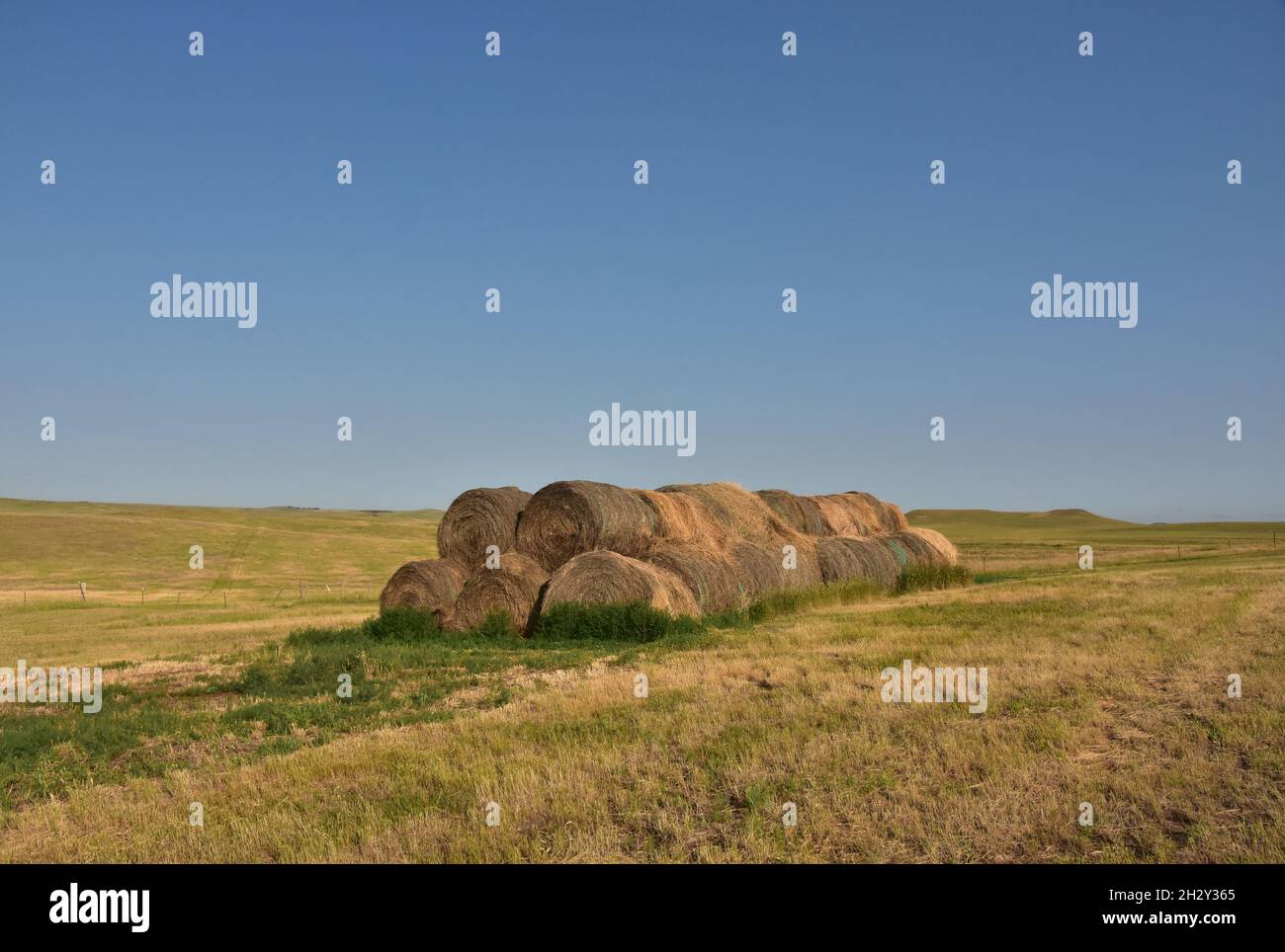 Rolled and baled hay stacked up on a farm out west Stock Photo - Alamy