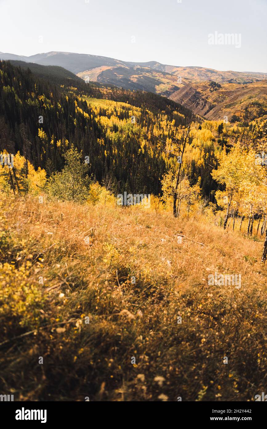 Fall foliage in Vail, Colorado Stock Photo - Alamy
