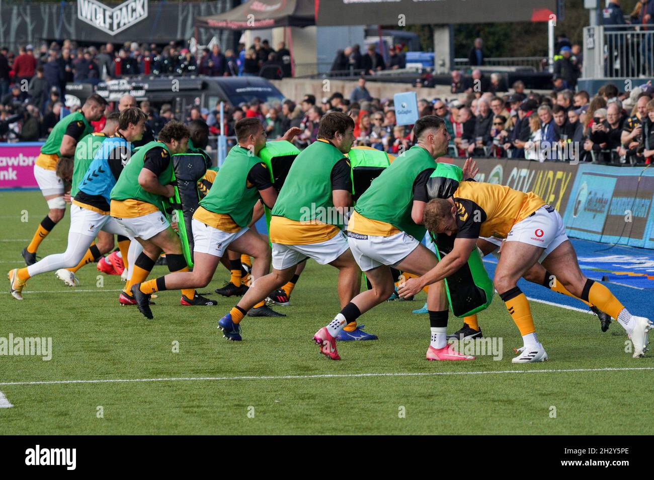 Wasps team hi-res stock photography and images - Alamy