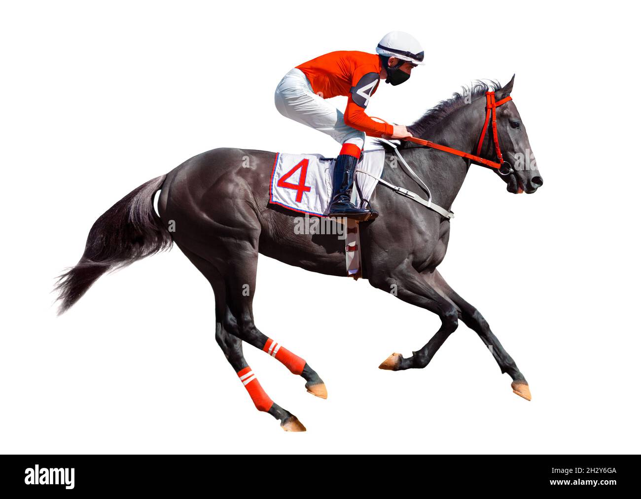 Jockey on horse. Champion. Horse racing. Hippodrome. Racetrack. Jump ...