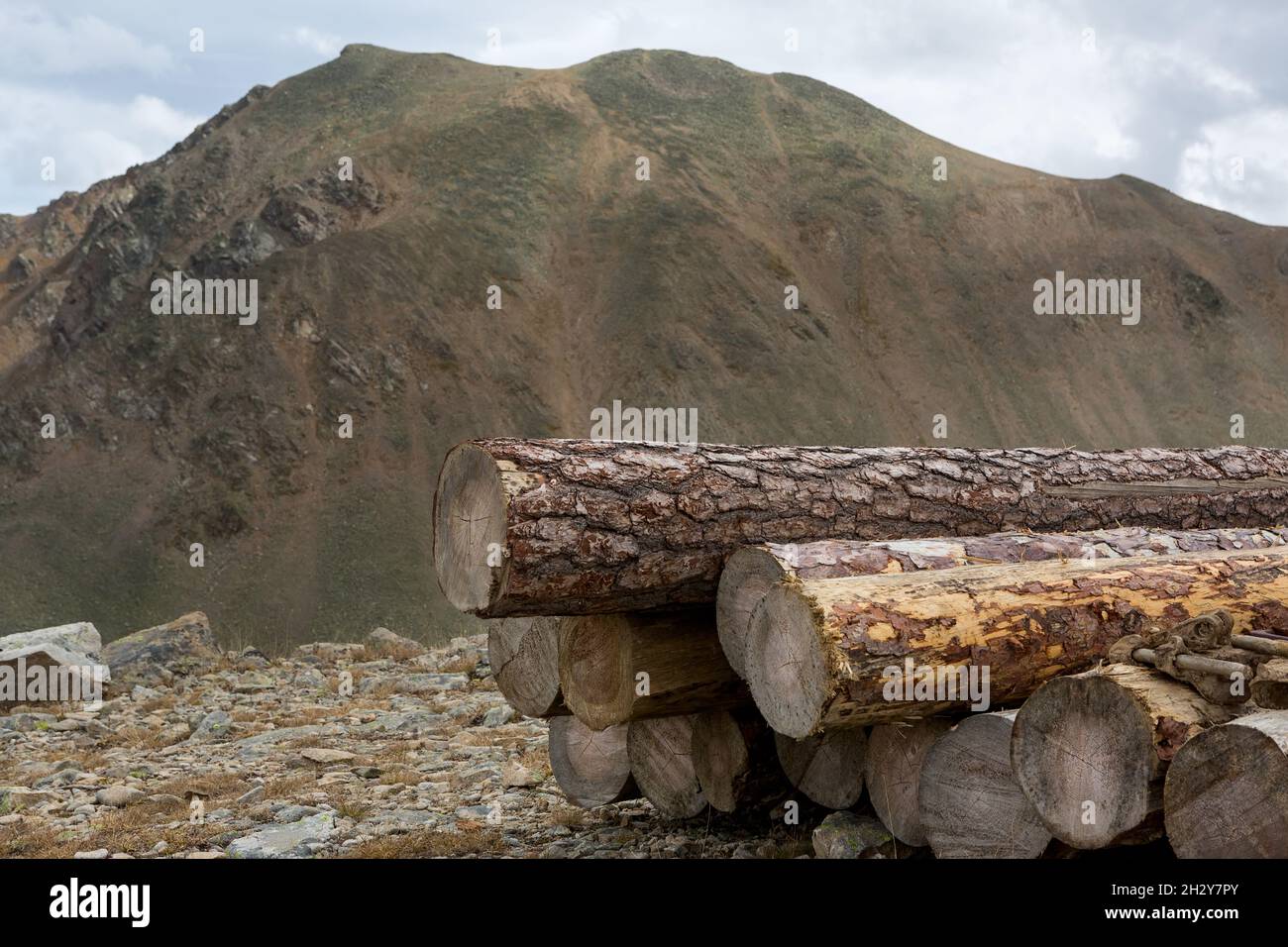 Pile of sawn logs on top of a mountainous area Stock Photo - Alamy