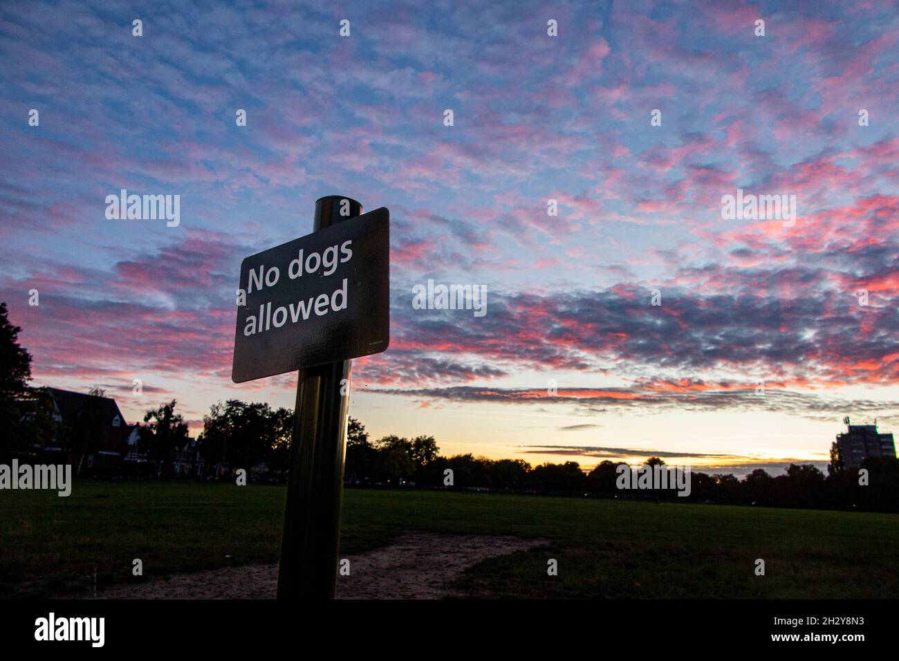 A 'No Dogs Allowed' sign in anurban park against a dramatic sky at ...
