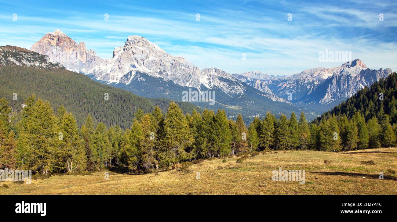 Larch wood and Le Tofane Gruppe, Dolomiti, Italy Stock Photo - Alamy