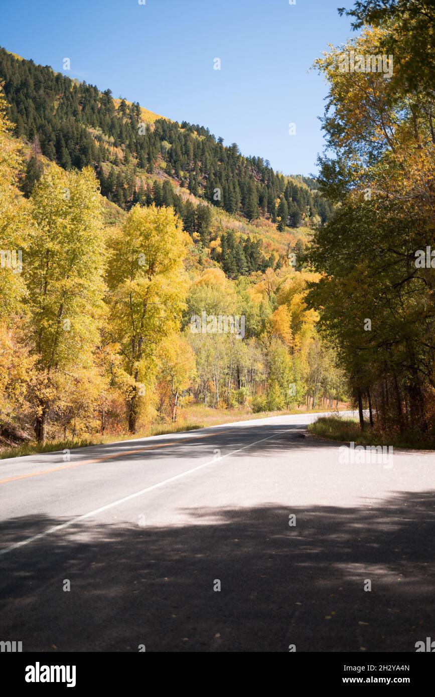 Fall foliage on Independence Pass near Aspen, Colorado Stock Photo - Alamy
