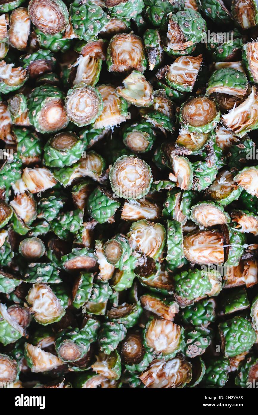 Green young sliced fir tree cones prepared for homemade syrup cooking ...