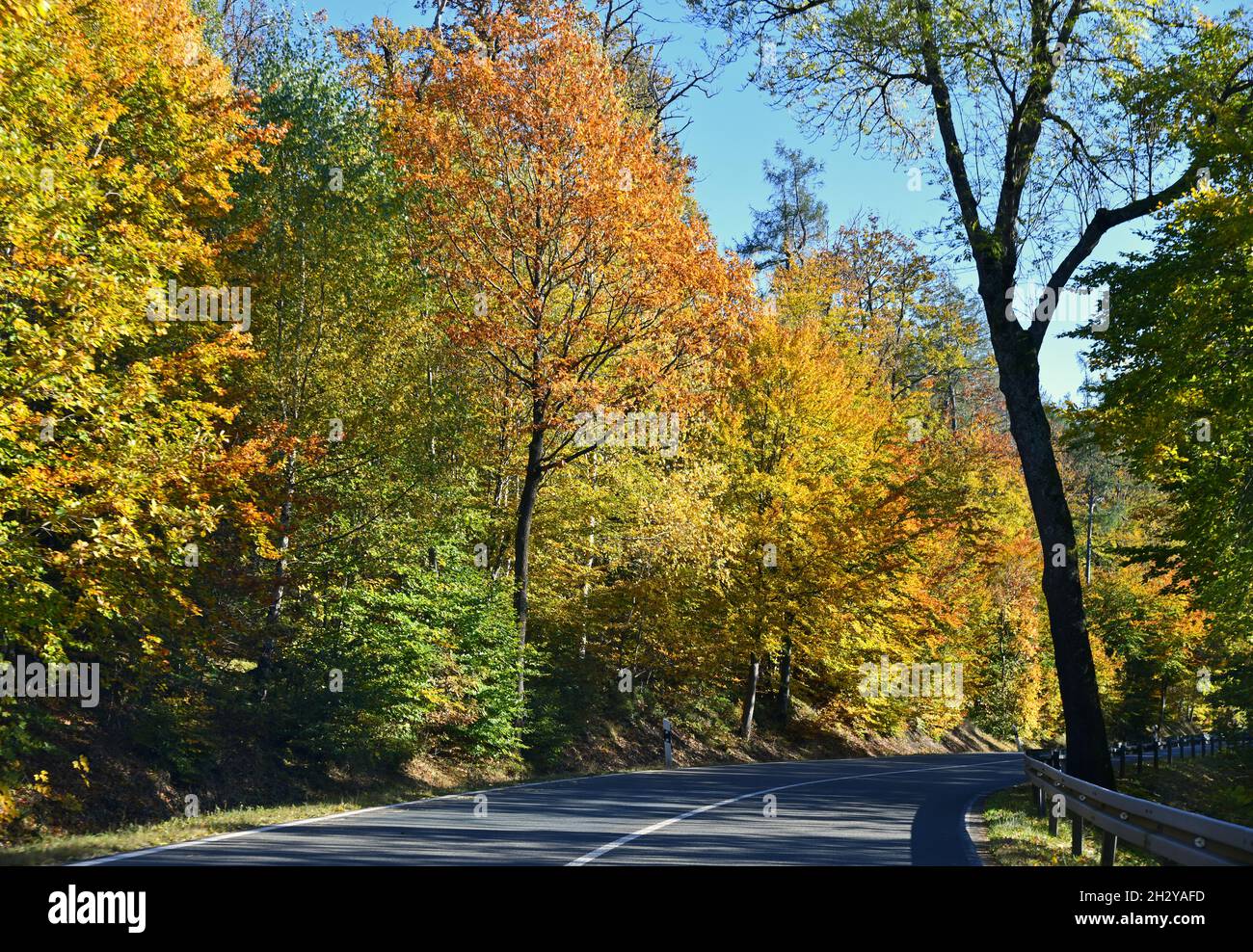 Brightly colored trees hi-res stock photography and images - Alamy