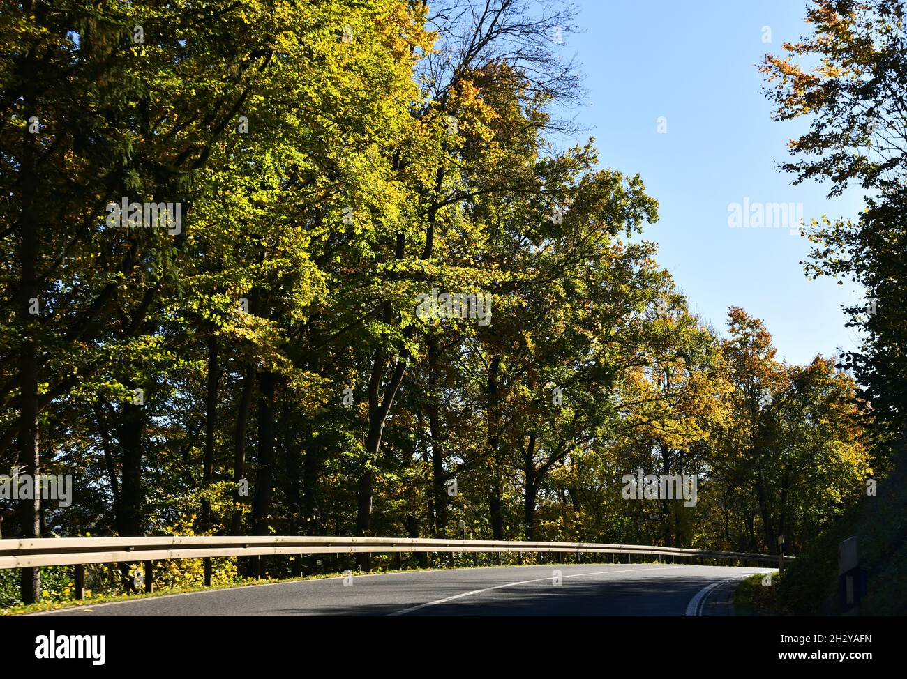 Road with brightly colored trees Stock Photo - Alamy