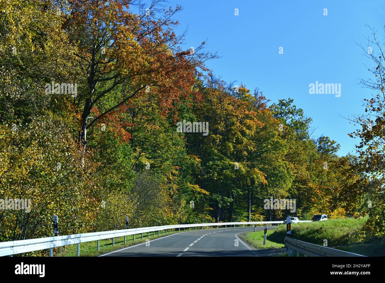 Road with brightly colored trees Stock Photo - Alamy