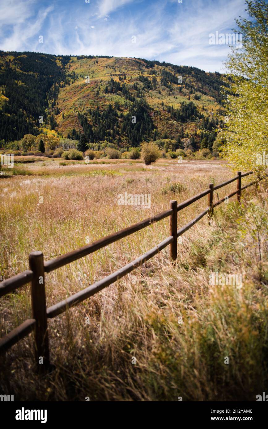 Fall foliage on Independence Pass near Aspen, Colorado Stock Photo - Alamy