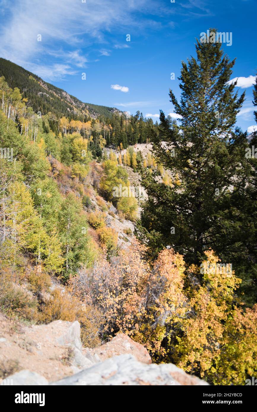 Fall foliage near Aspen, Colorado Stock Photo - Alamy