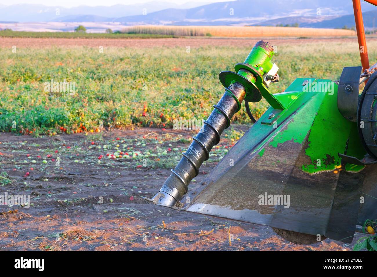 Industrial tomato harvester machine hi-res stock photography and images ...