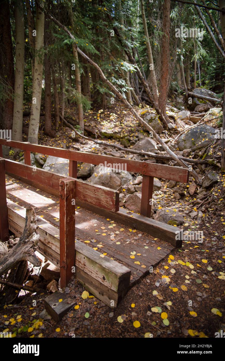 A wooden bridge in the forest covered in leaves Stock Photo - Alamy