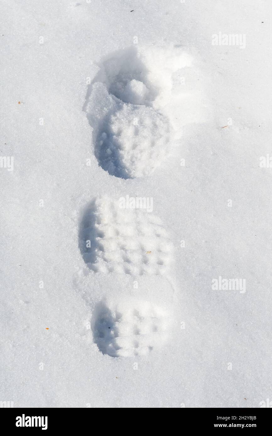step against step (human) in fresh white snow. Concept Stock Photo - Alamy