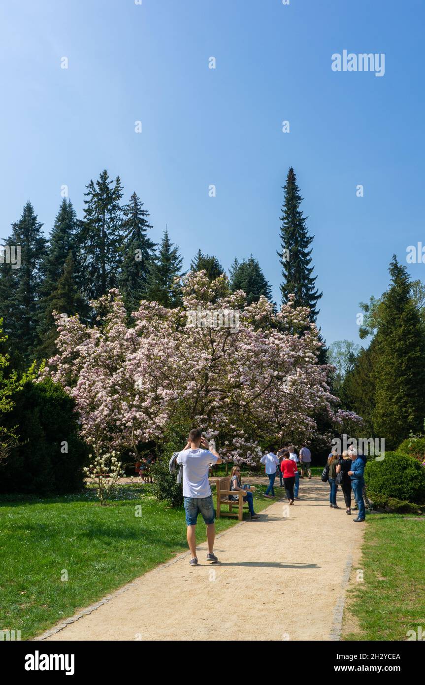 KORNIK, POLAND - Apr 21, 2018: A vertical shot of people walking on a ...