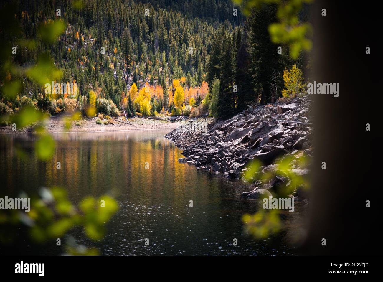 A lake surrounded by fall foliage at Independence Pass near Aspen ...