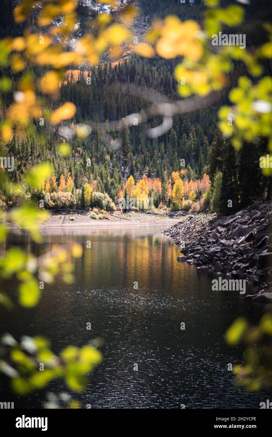 Seasonal fall foliage hi-res stock photography and images - Alamy
