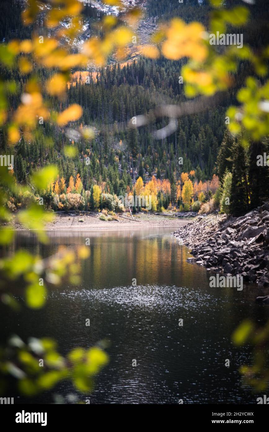 A lake surrounded by fall foliage at Independence Pass near Aspen ...