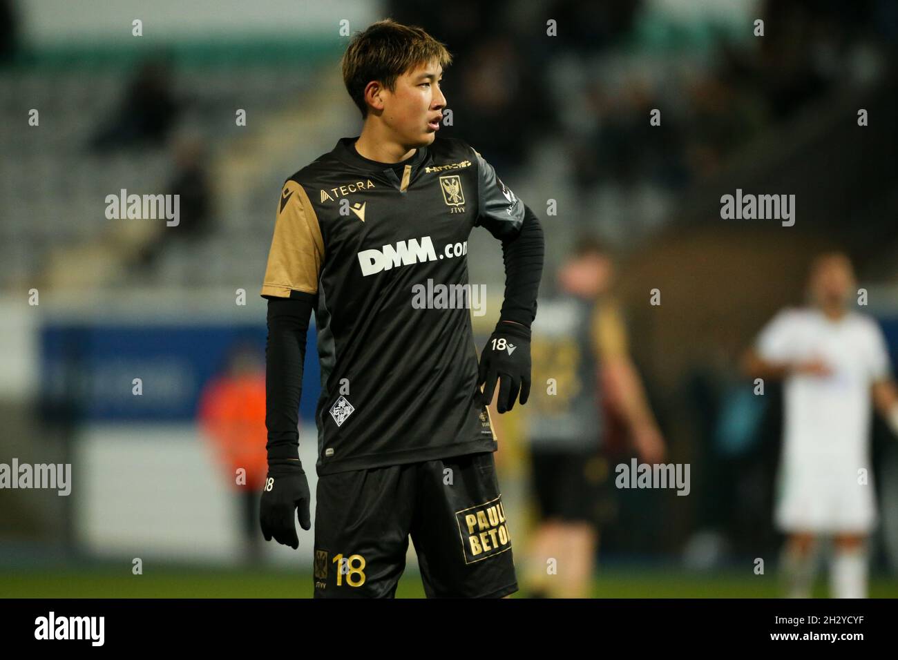 Het king power at den dreef stadion hi-res stock photography and images ...