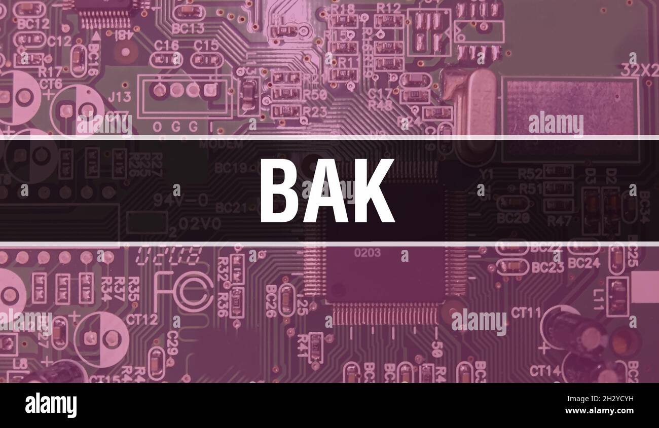 BAK with Electronic Computer Hardware technology background. Abstract ...