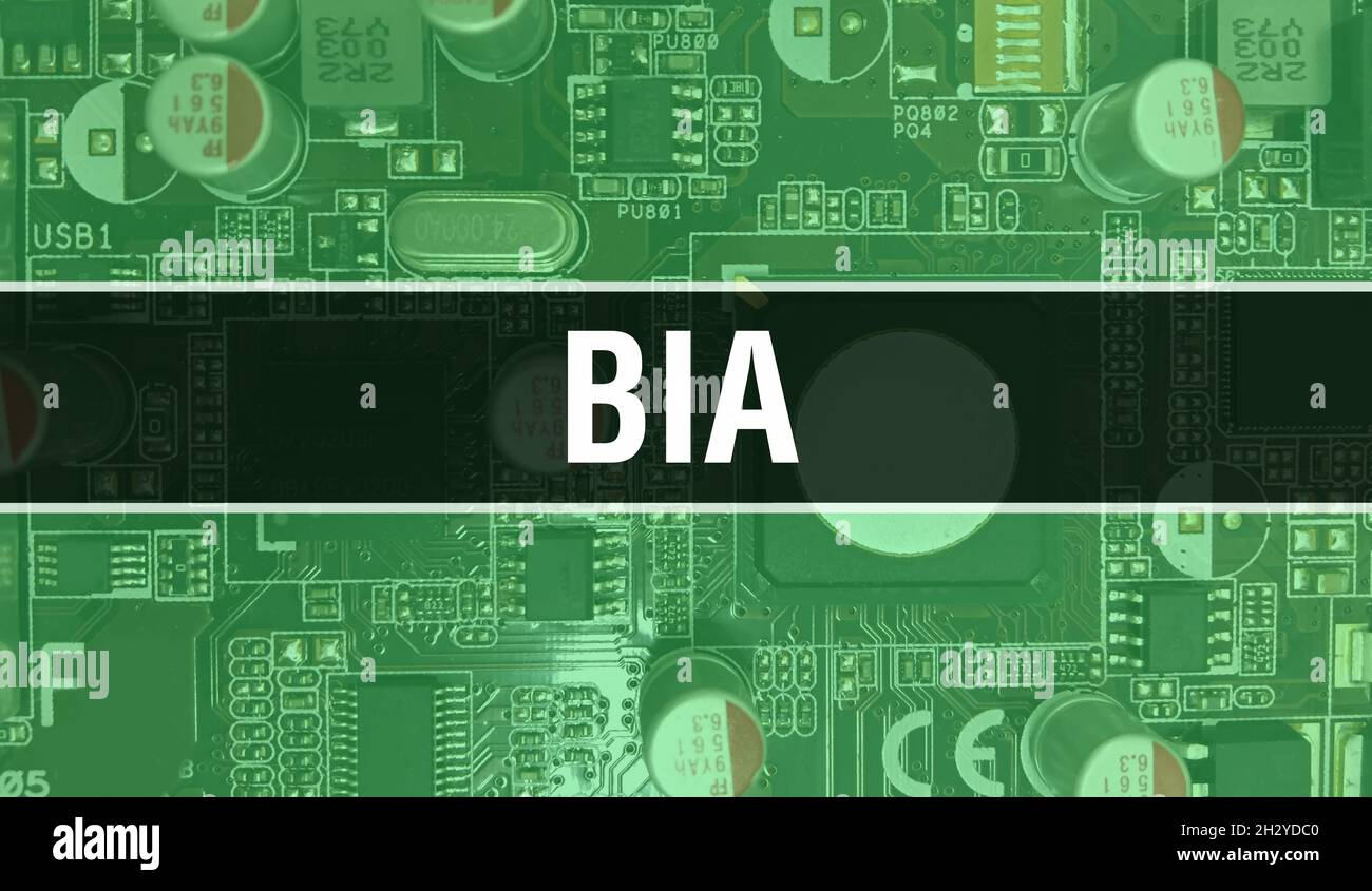 BIA with Electronic Computer Hardware technology background. Abstract ...