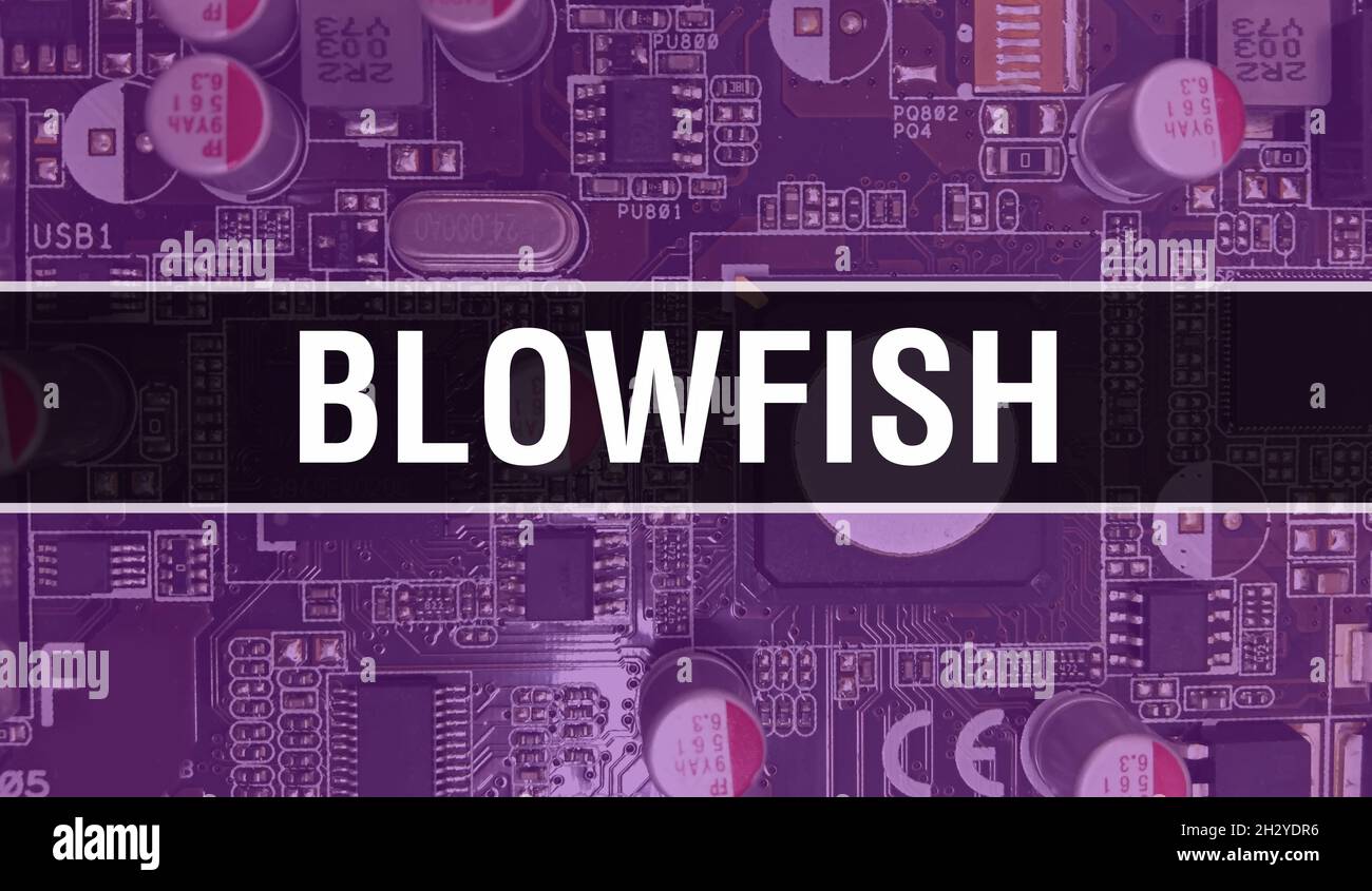 Blowfish concept with Computer motherboard. Blowfish text written on ...