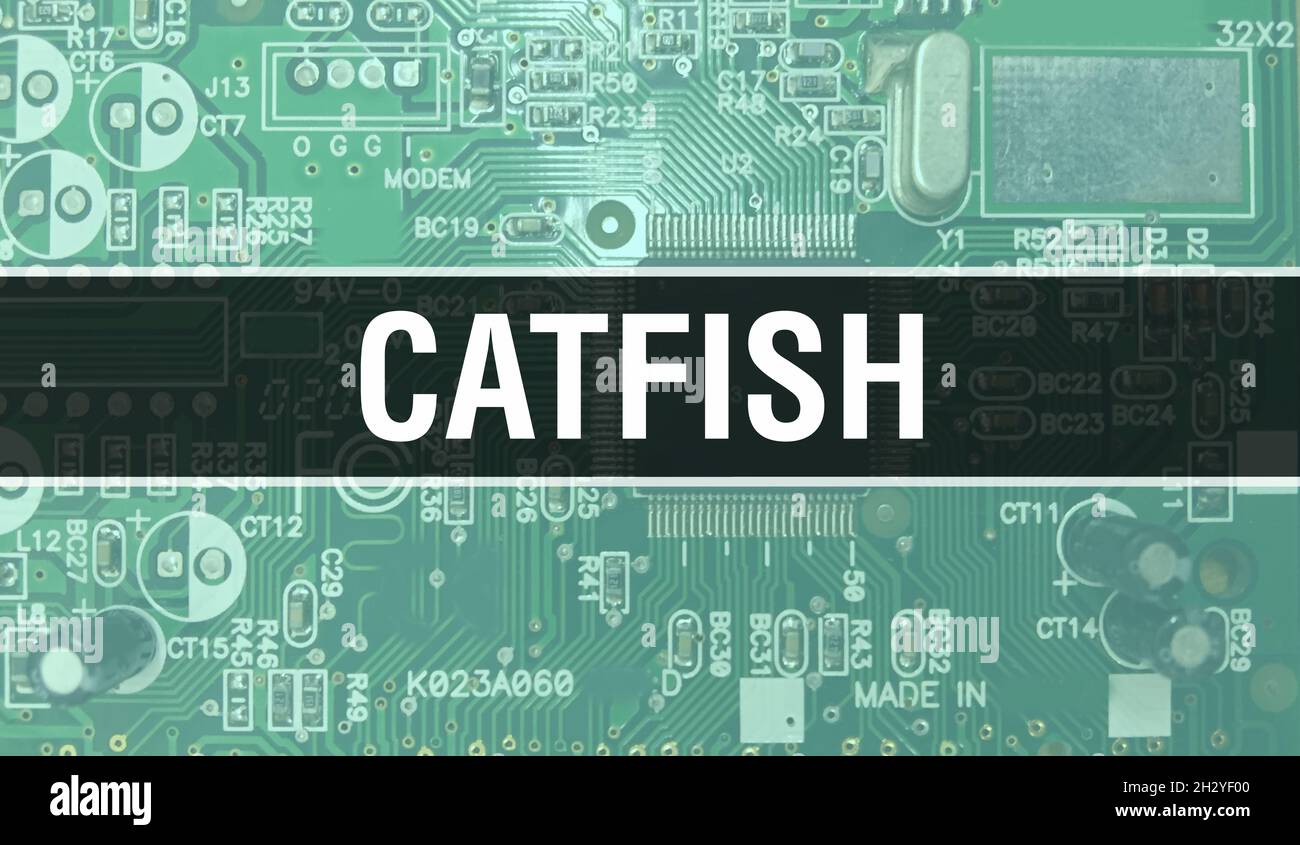Catfish concept with Computer motherboard. Catfish text written on ...