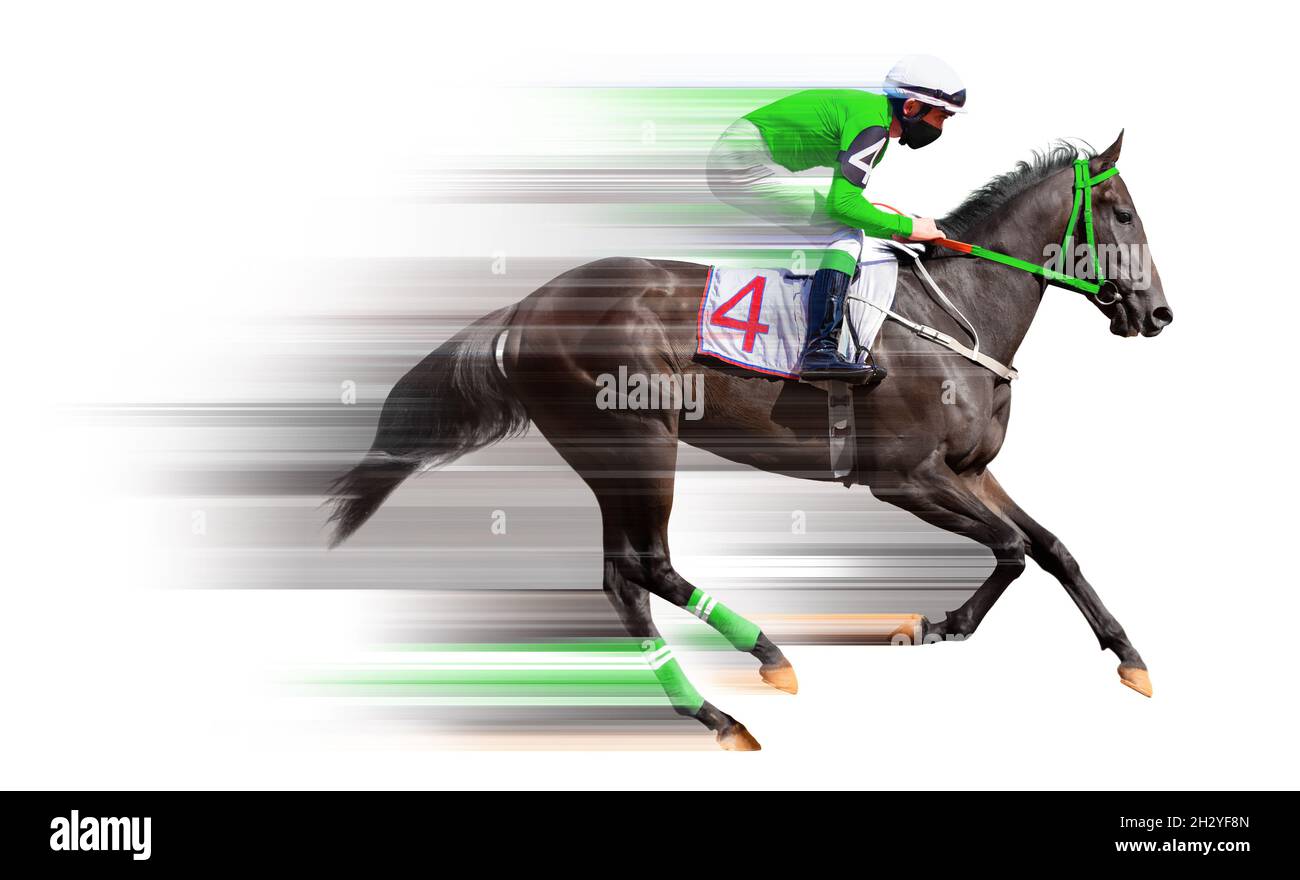 Jockey on racing horse. Champion. Hippodrome. Racetrack. Horse riding ...