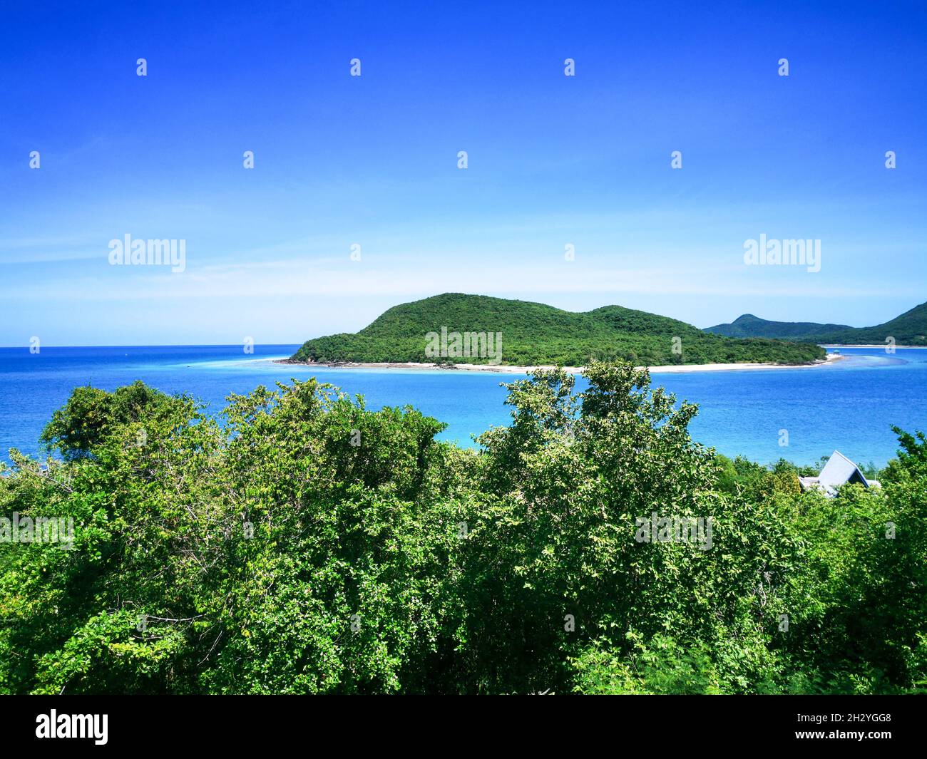 A mesmerizing view of an island on the sea water with dense vegetation ...