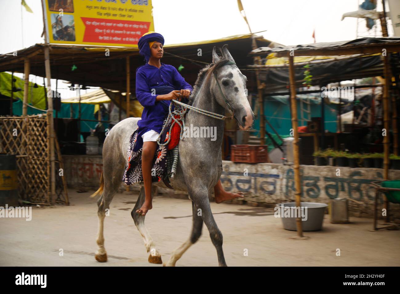 Nihang Sikhs High Resolution Stock Photography and Images - Alamy