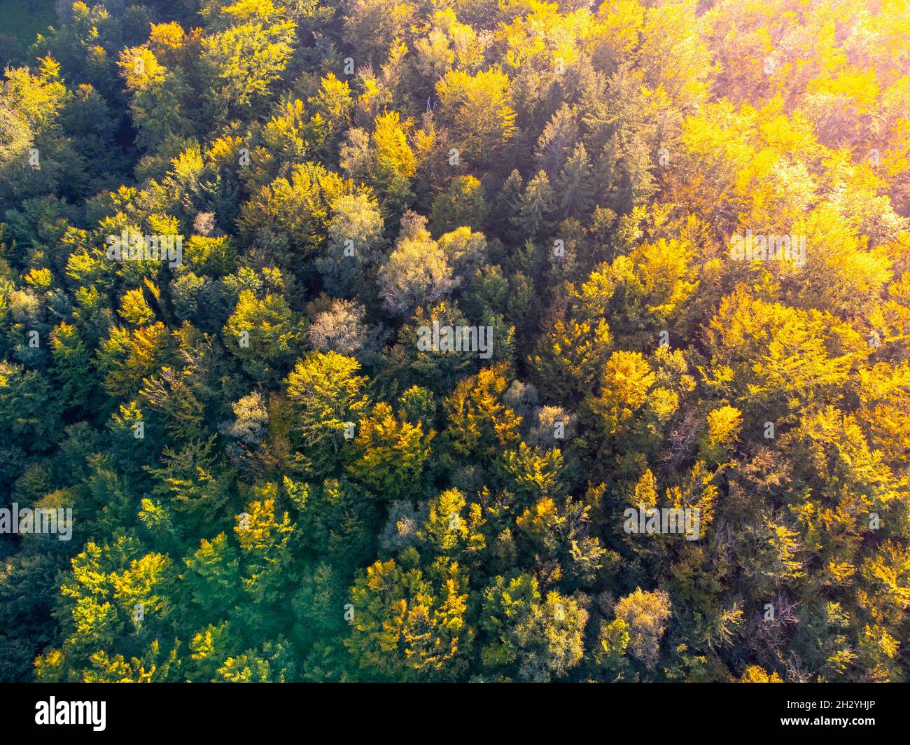 Fall wood from above landscape hi-res stock photography and images - Alamy