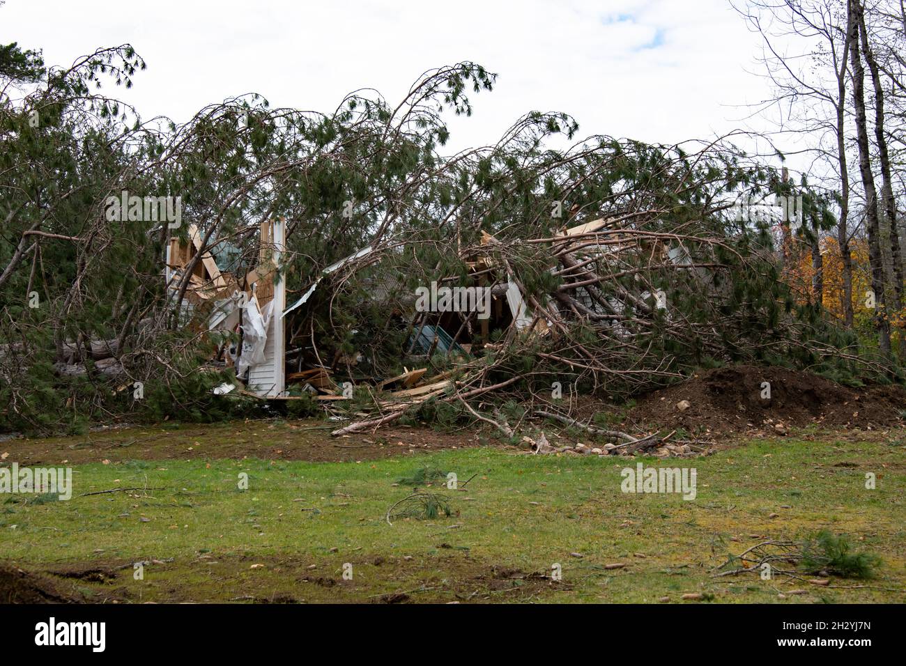 A garage crushed by a large pine tree during a high wind storm in ...