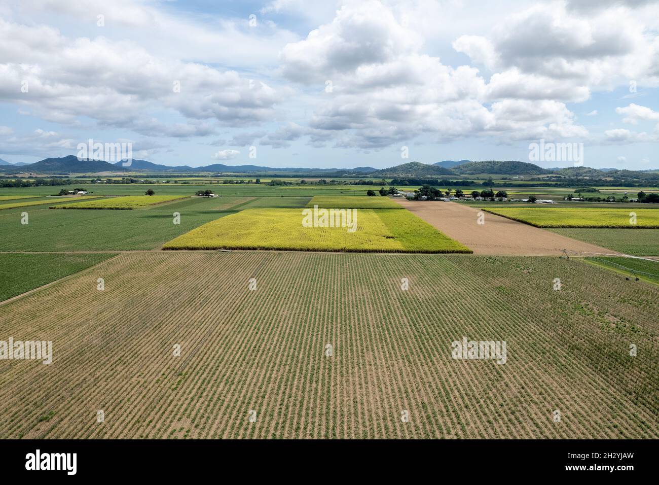 Aerial view of farm with harvested sugarcane crops hi-res stock ...