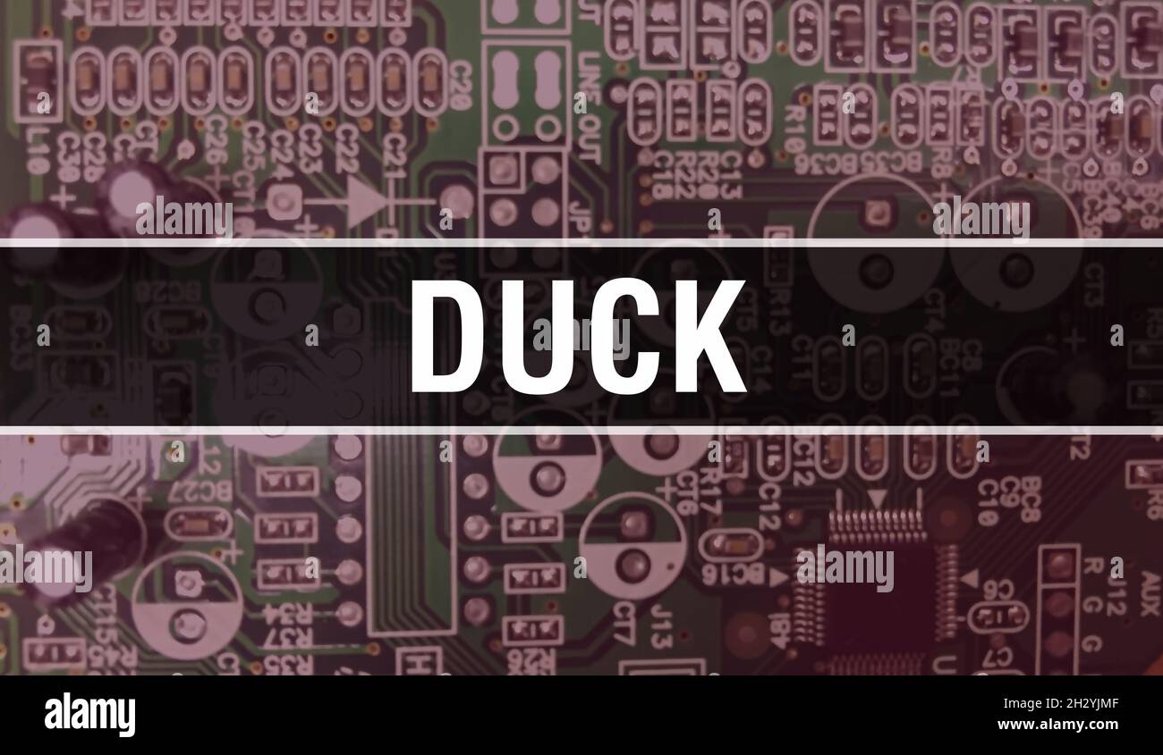 Duck concept with Computer motherboard. Duck text written on Technology ...