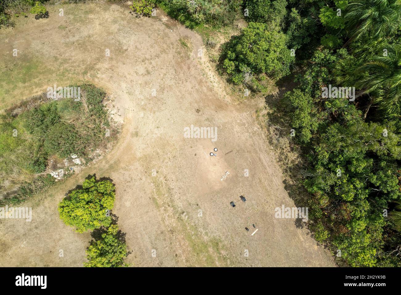 Thick bushland on a creek bank beside bar ground and sparse grass in a ...