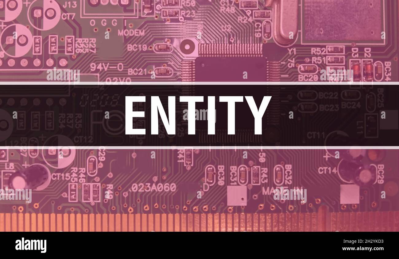 Entity with Electronic Computer Hardware technology background ...