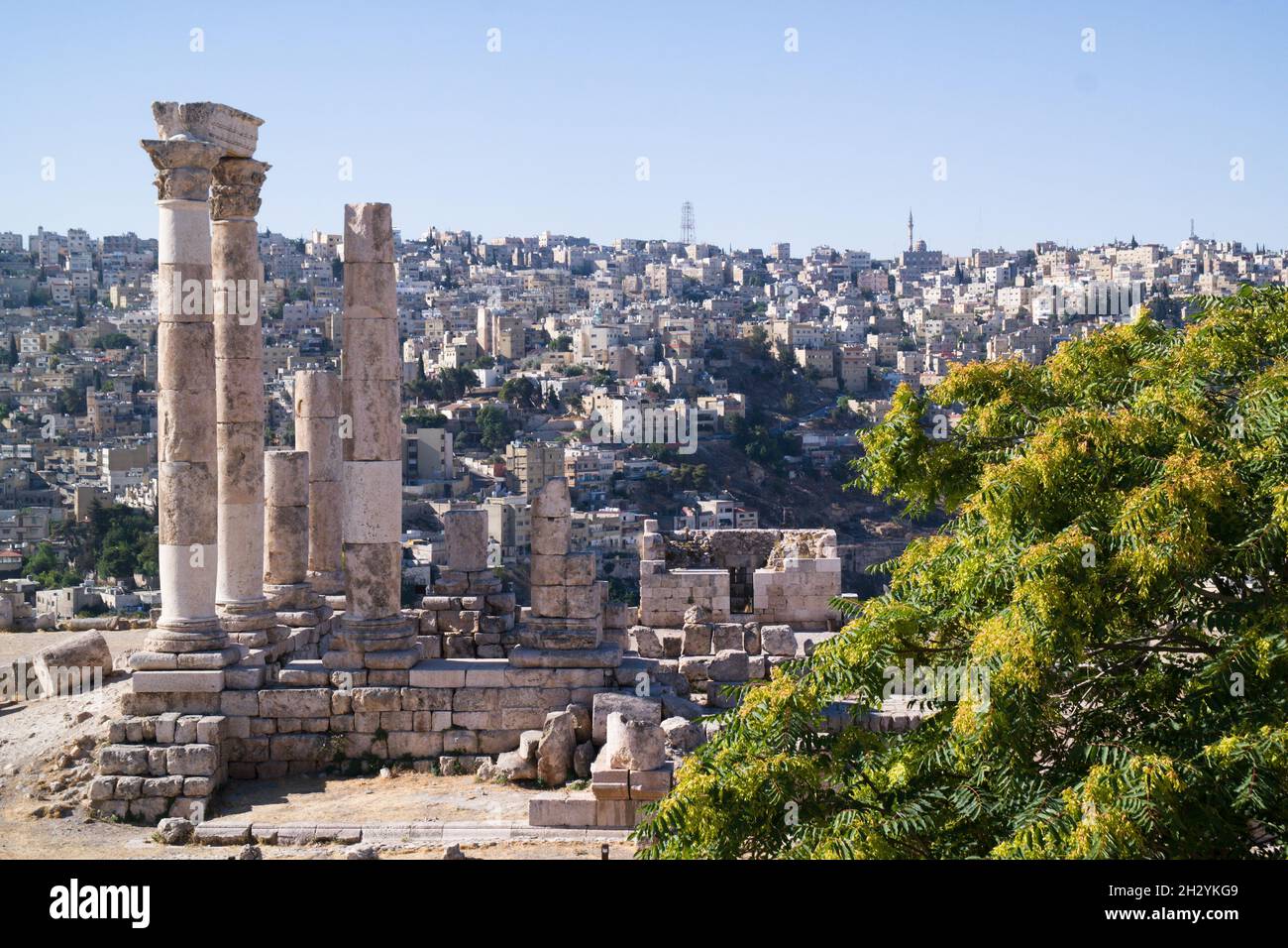 View of Amman, Jordan, from the old citadel Stock Photo - Alamy
