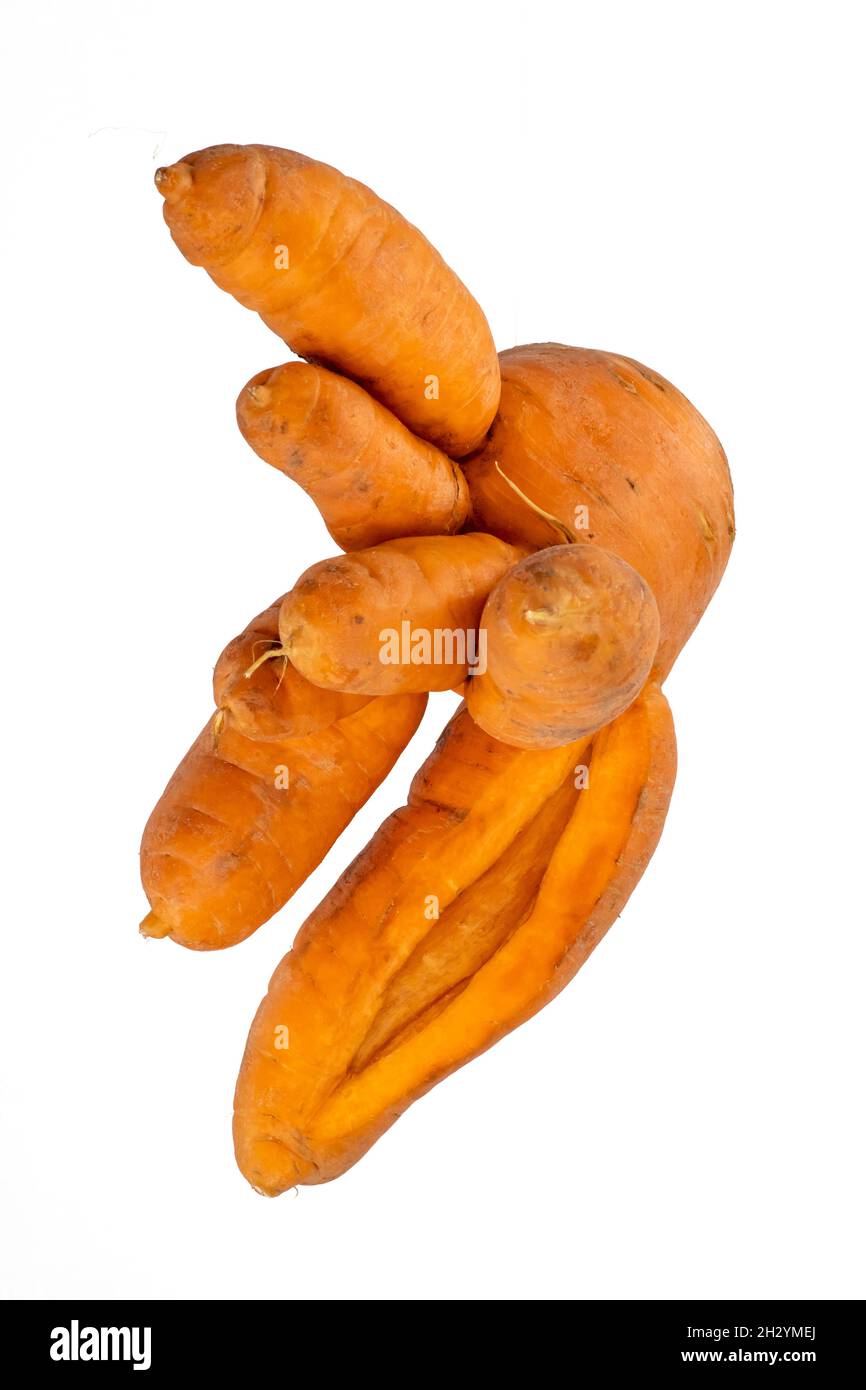 Carrots of an unusual bizarre shape, funny vegetables Stock Photo - Alamy