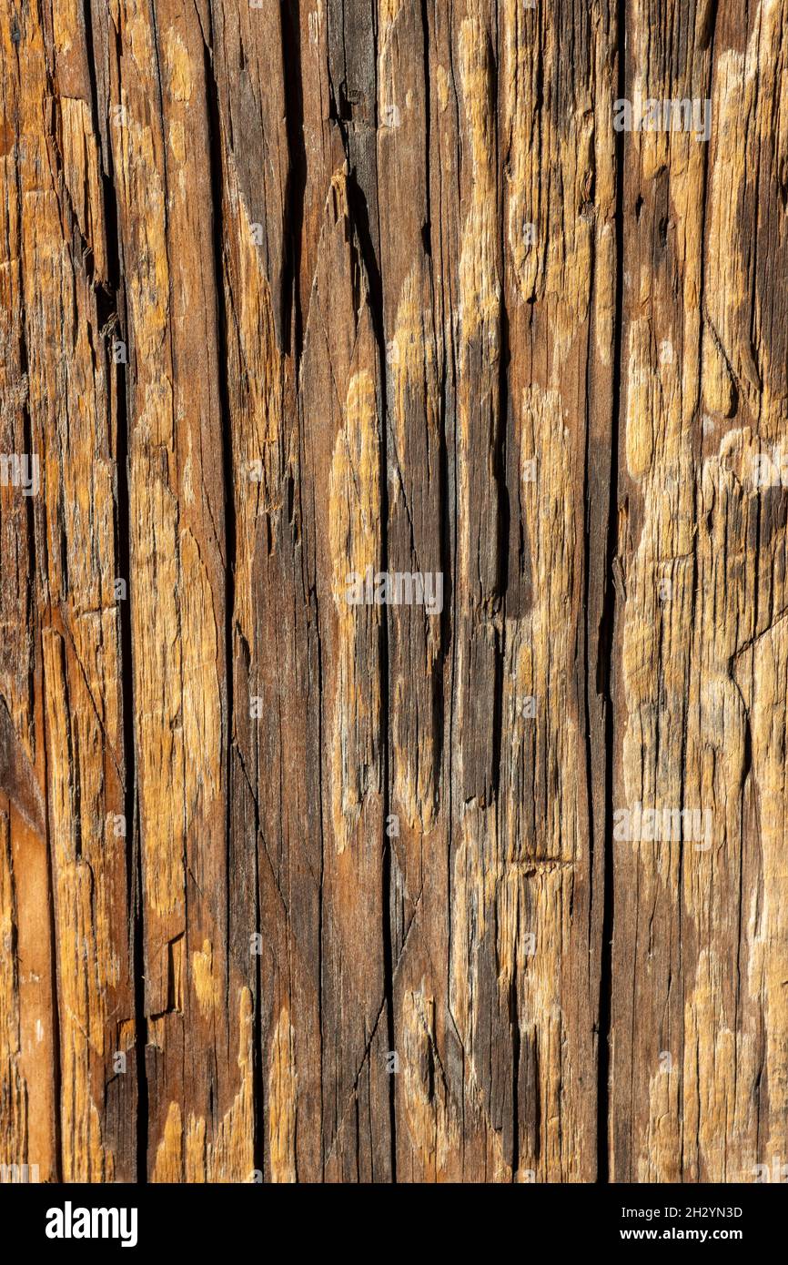 Vintage background of old wood surface, wood texture close-up Stock ...