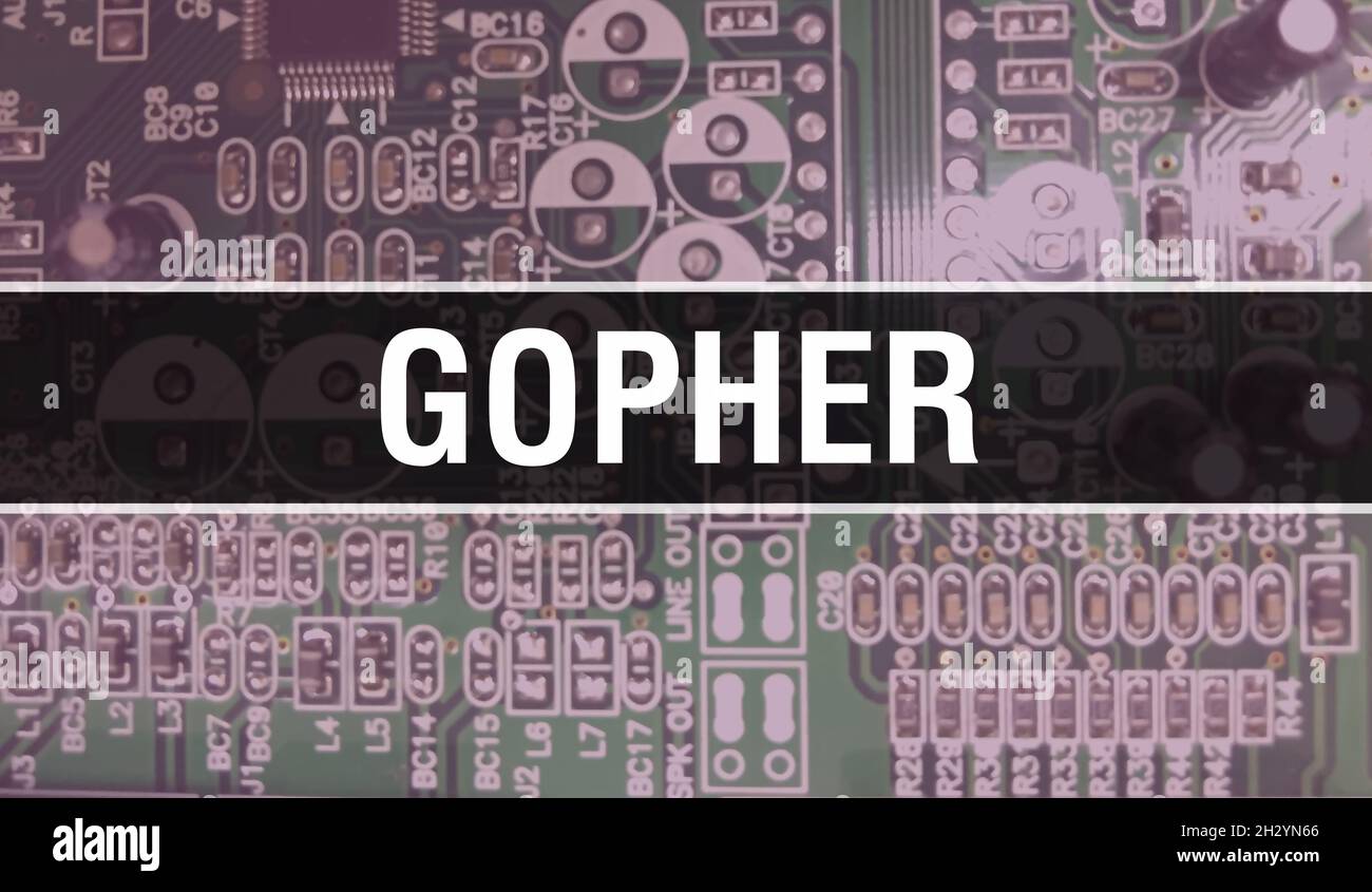 Gopher with Electronic components on integrated circuit board ...