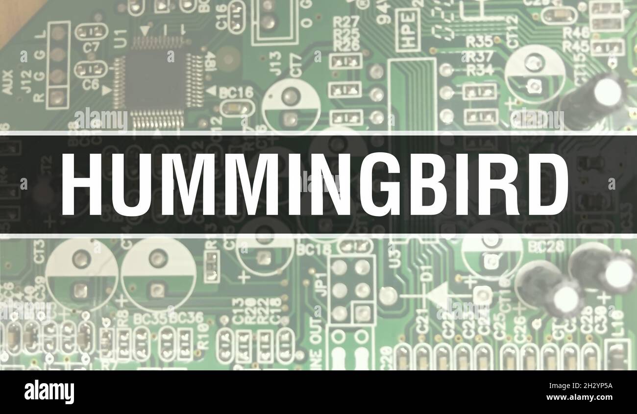 Hummingbird text written on Circuit Board Electronic abstract ...
