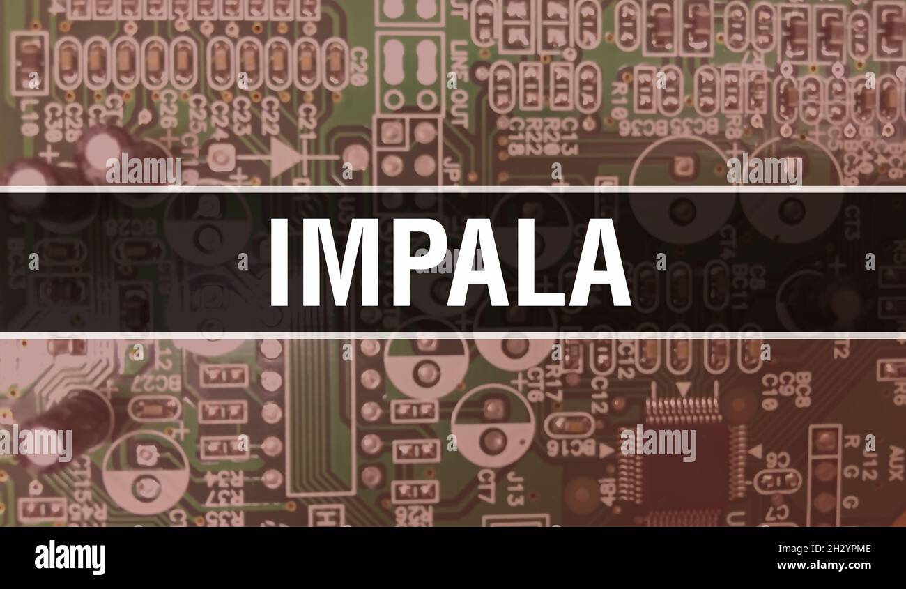 Impala with Electronic Computer Hardware technology background ...