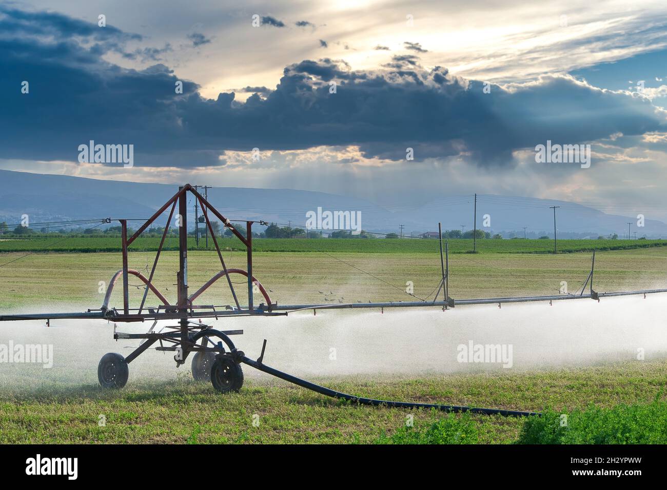 Sprinkler system with the self-propelled launcher in action in the ...