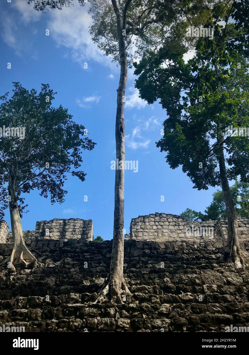 Calakmul, Mayan ruins, Mexico Stock Photo - Alamy
