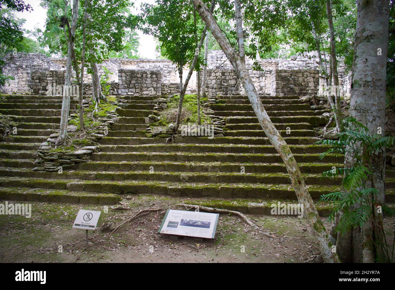 Calakmul, Mayan ruins, Mexico Stock Photo - Alamy