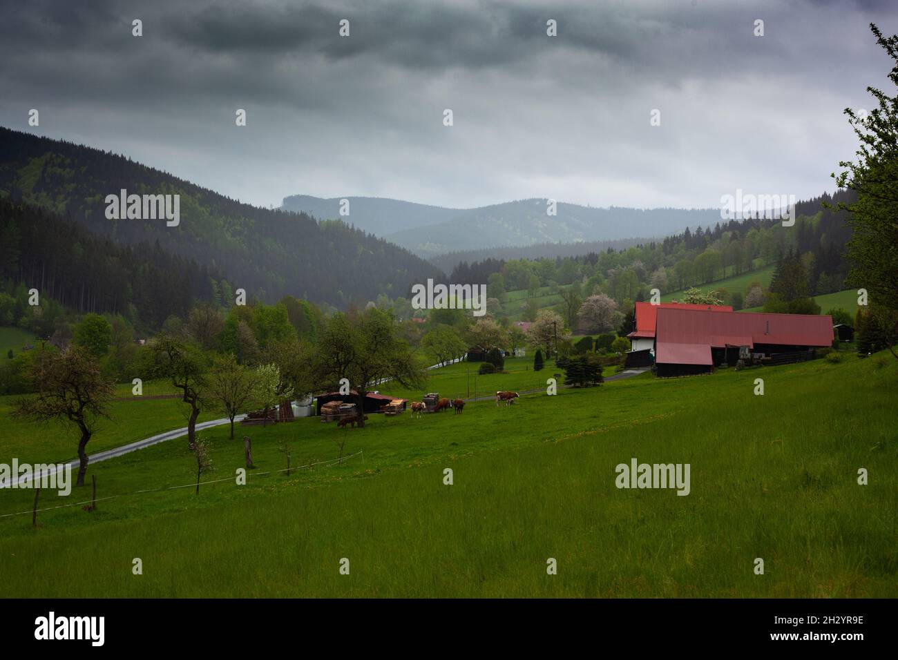 A valley in the Beskydy Mountains in the Czech Republic Stock Photo - Alamy