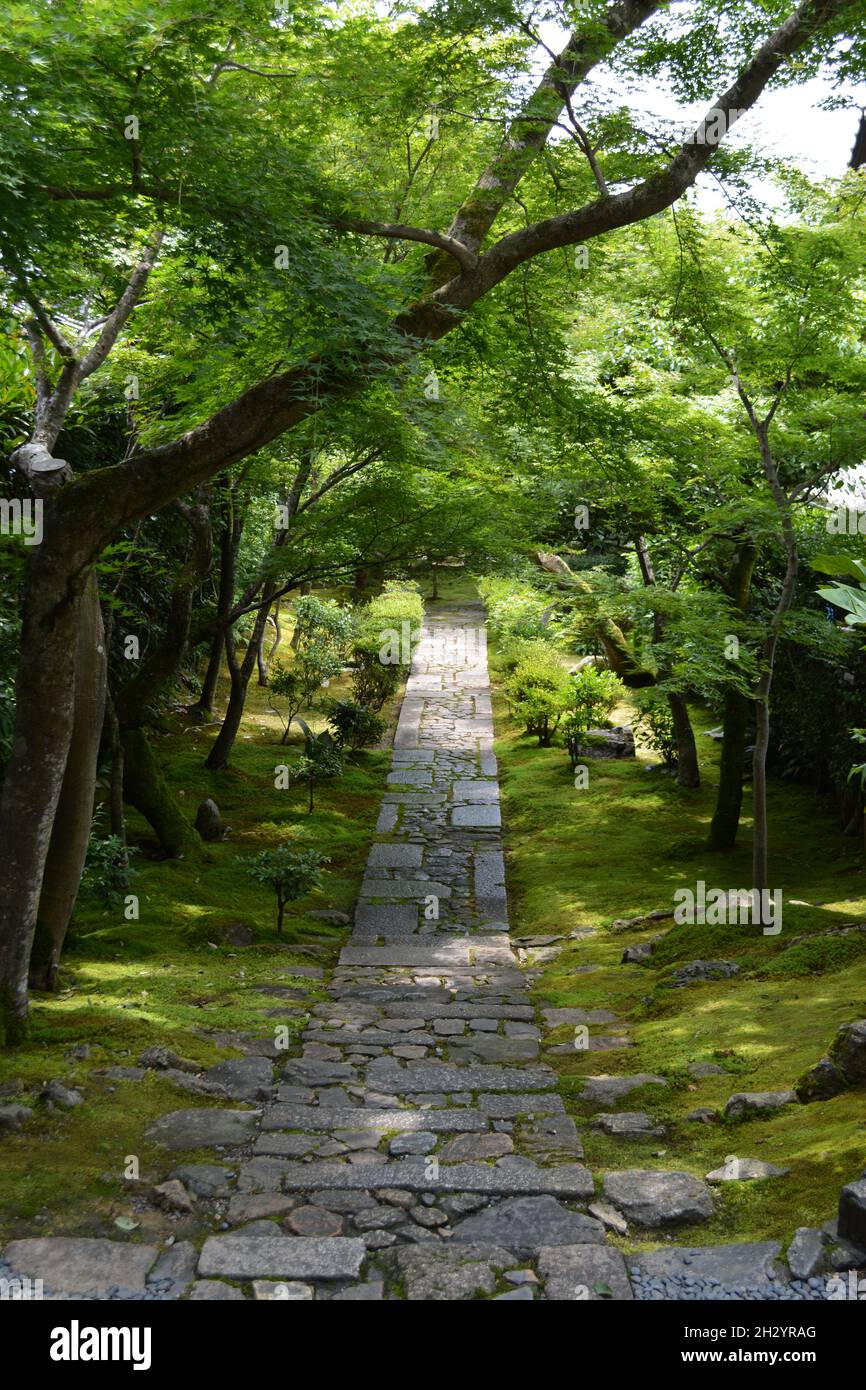A vertical shot of a stone path in a Japanese zen garden temple Stock ...
