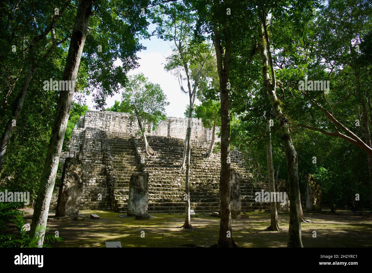 Calakmul, Mayan ruins, Mexico Stock Photo - Alamy