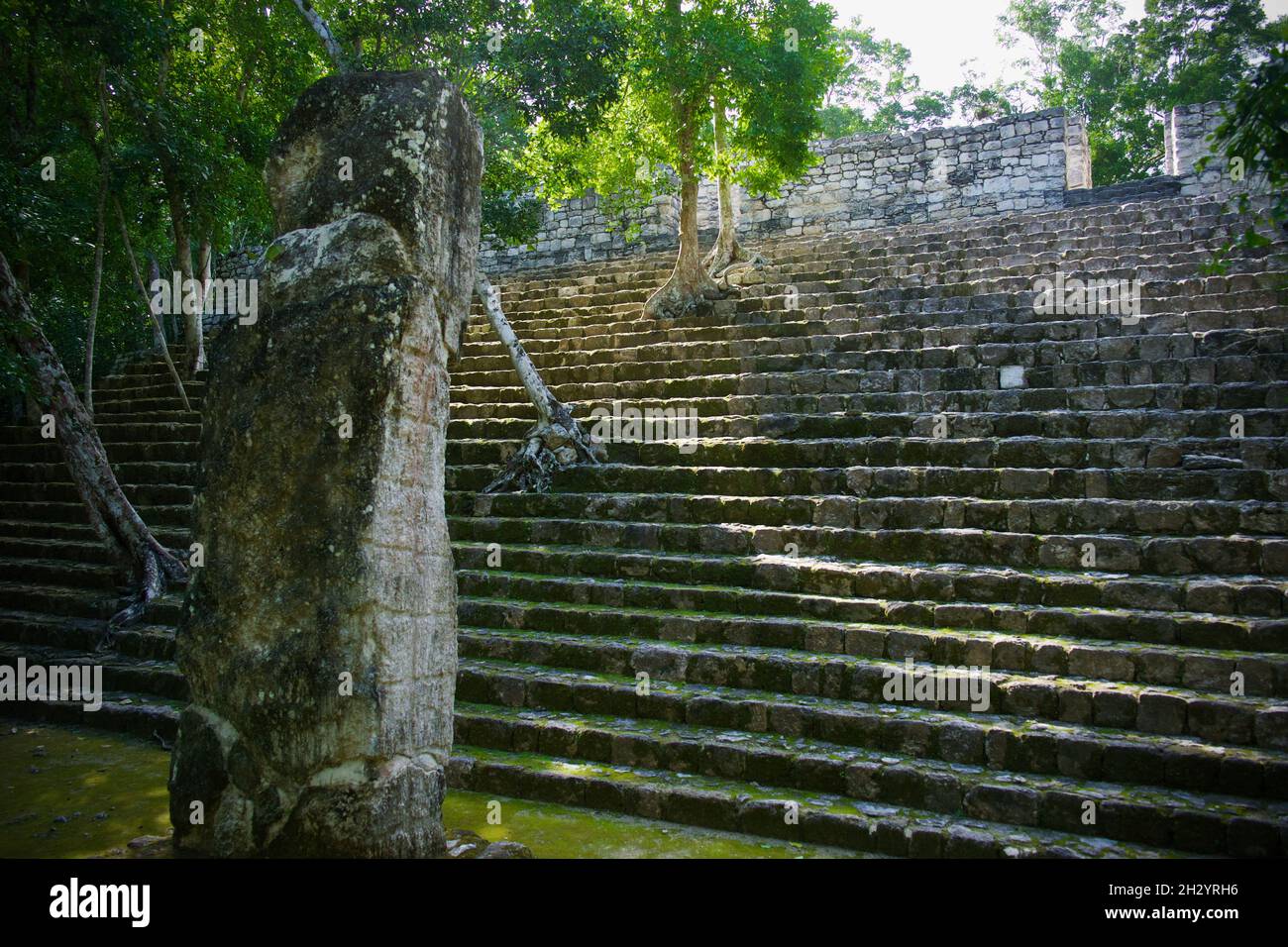 Calakmul, Mayan ruins, Mexico Stock Photo - Alamy